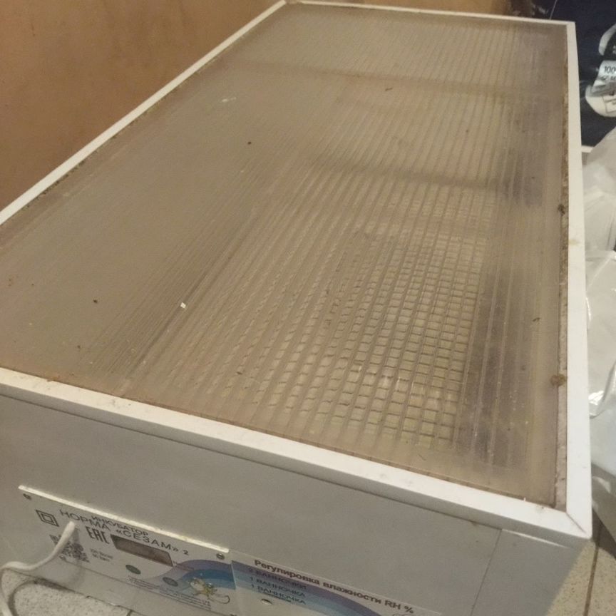 Инкубатор норма Сезам выводной