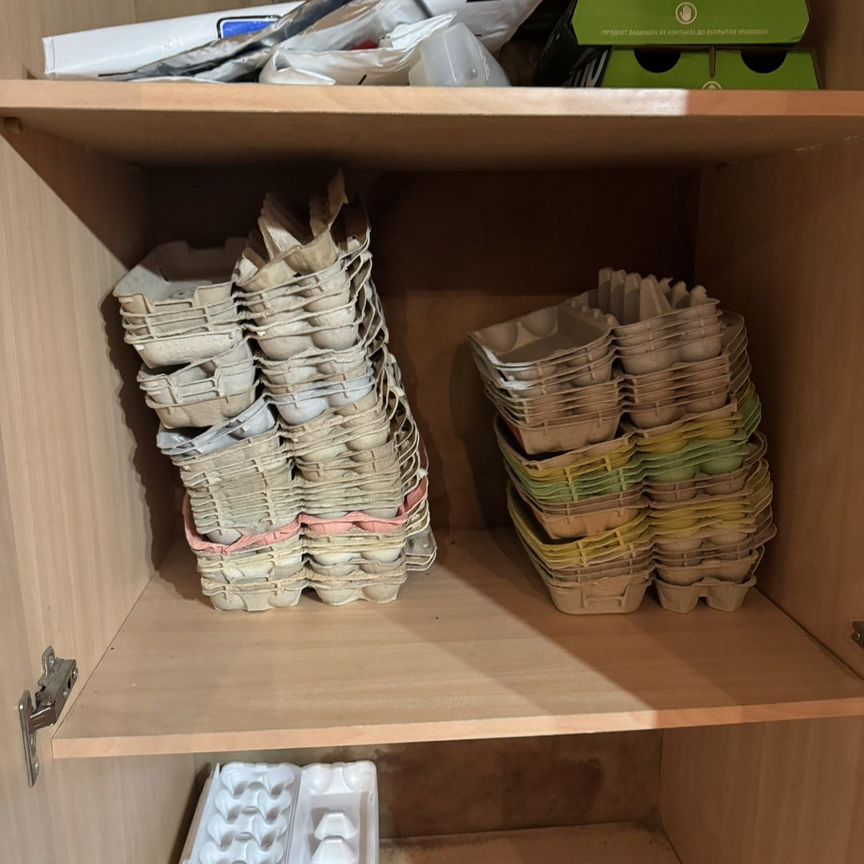 Клетки для яиц