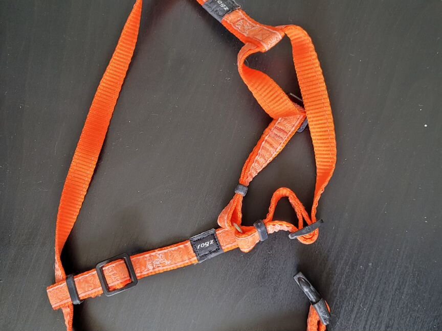 Шлейка для собаки Rogz