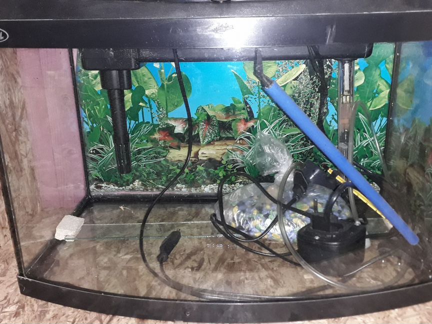 Аквариум 42л. с тумбой