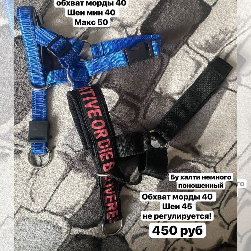 Амуниция для собак