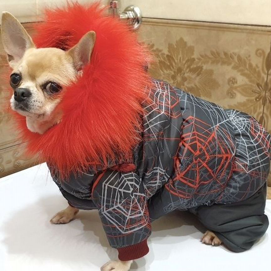 Dogmoda комбенезон и жилет 4и5 зима