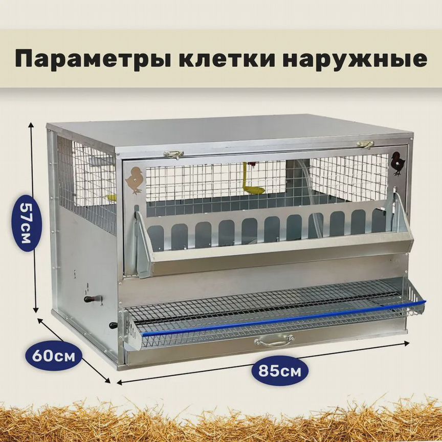 Клетка для кур несушек до 10 голов