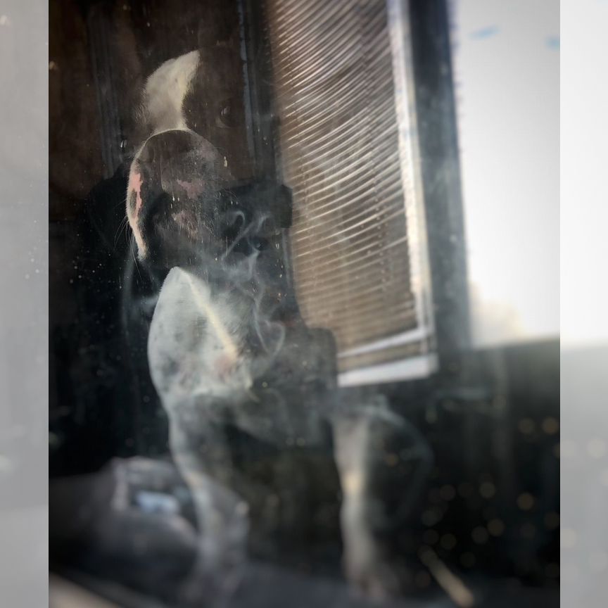 Жених ищет невесту