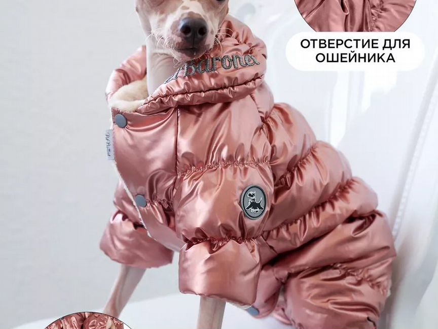 Зимний комбинезон для небольшой собаки-девочки