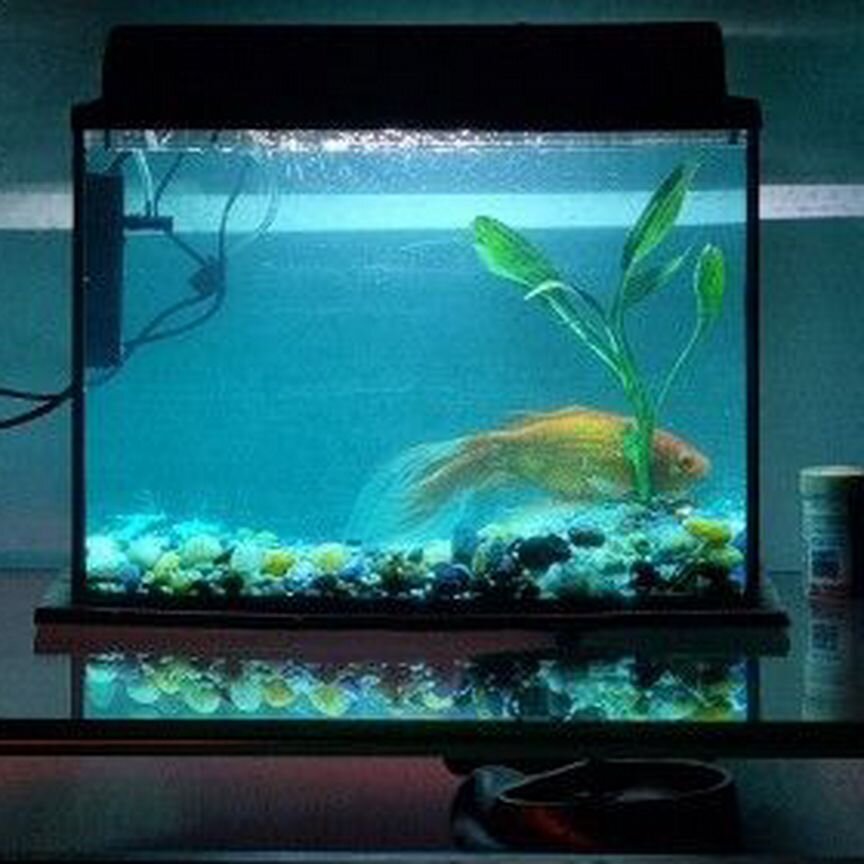 Аквариум 30л с Золотой рыбкой Комета