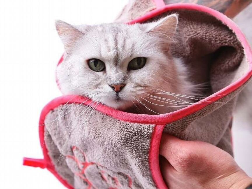 Полотенце для питомцев