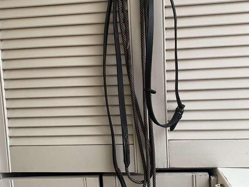 Амуниция для лошади