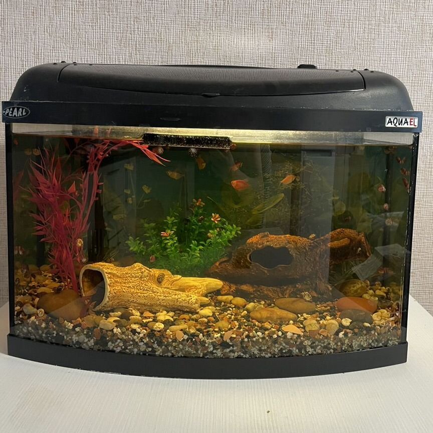 Аквариум с рыбками