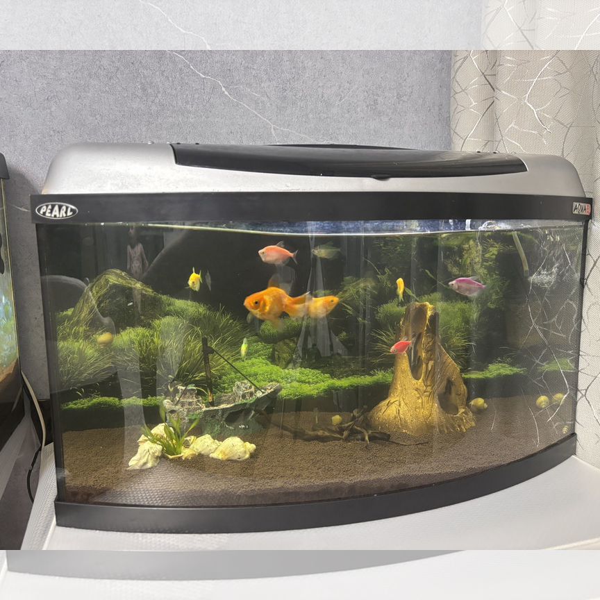 Аквариум aquael 60 литров панорама