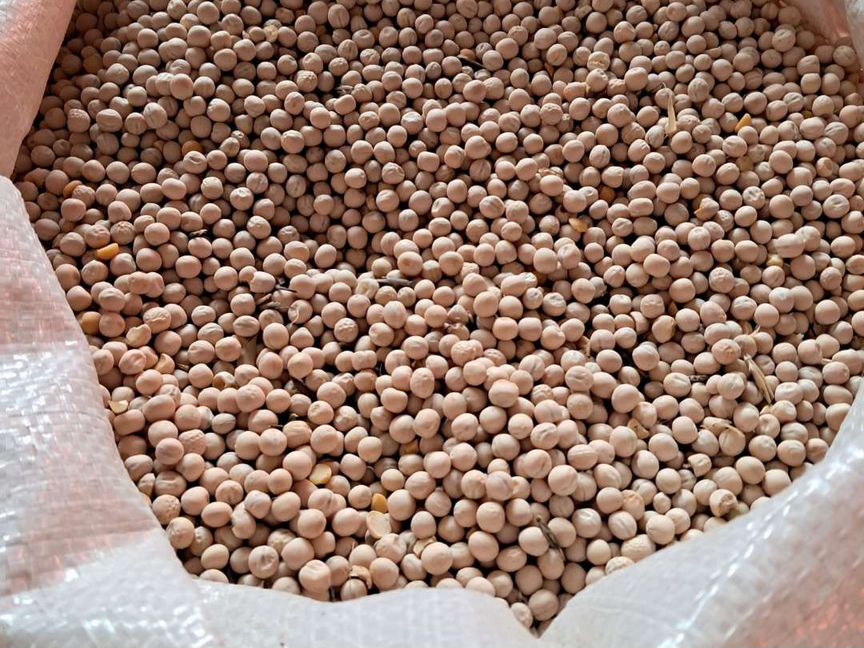 Горох кормовой в мешках