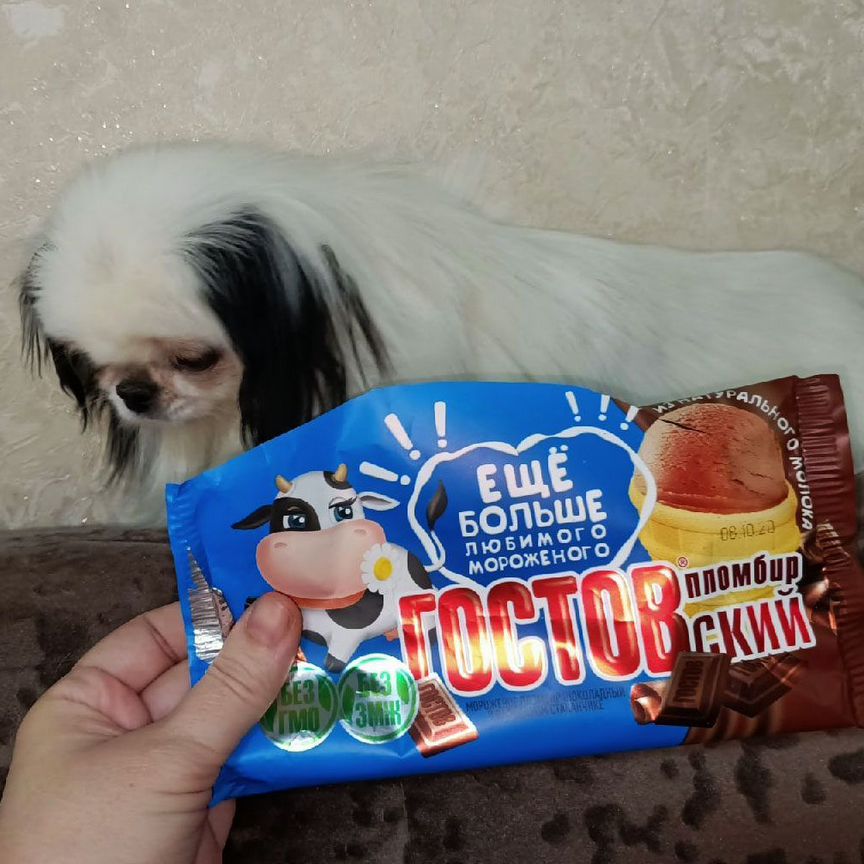 Японского хина вязка и щенки бывают