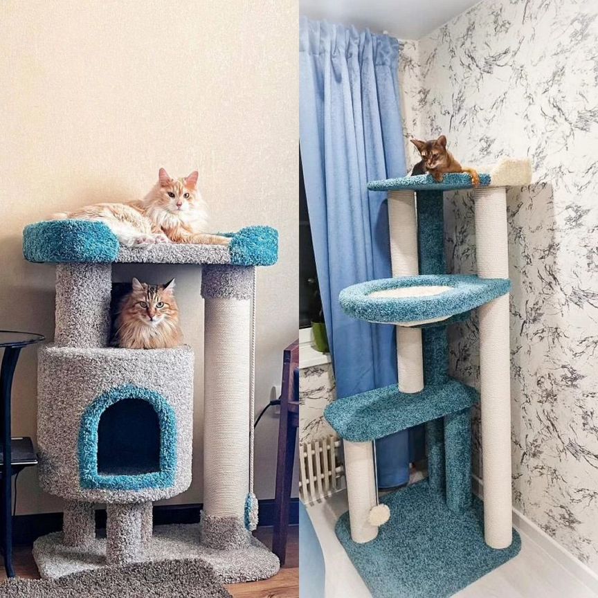 Когтеточка