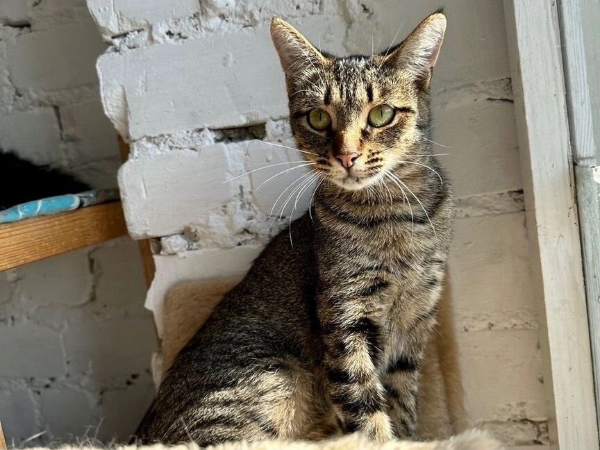 Малышка Марся