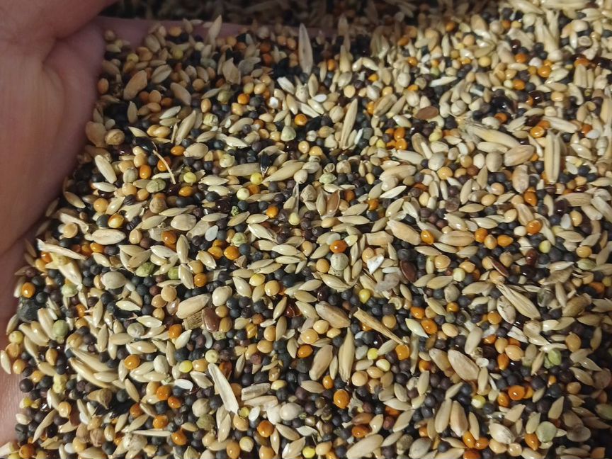 Корм для птиц канареек лесных и других