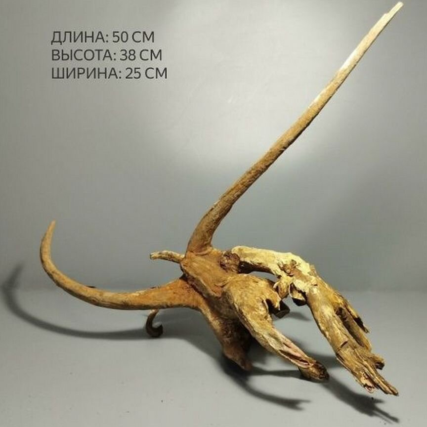 Коряга мангровая для аквариума или террариума вк57