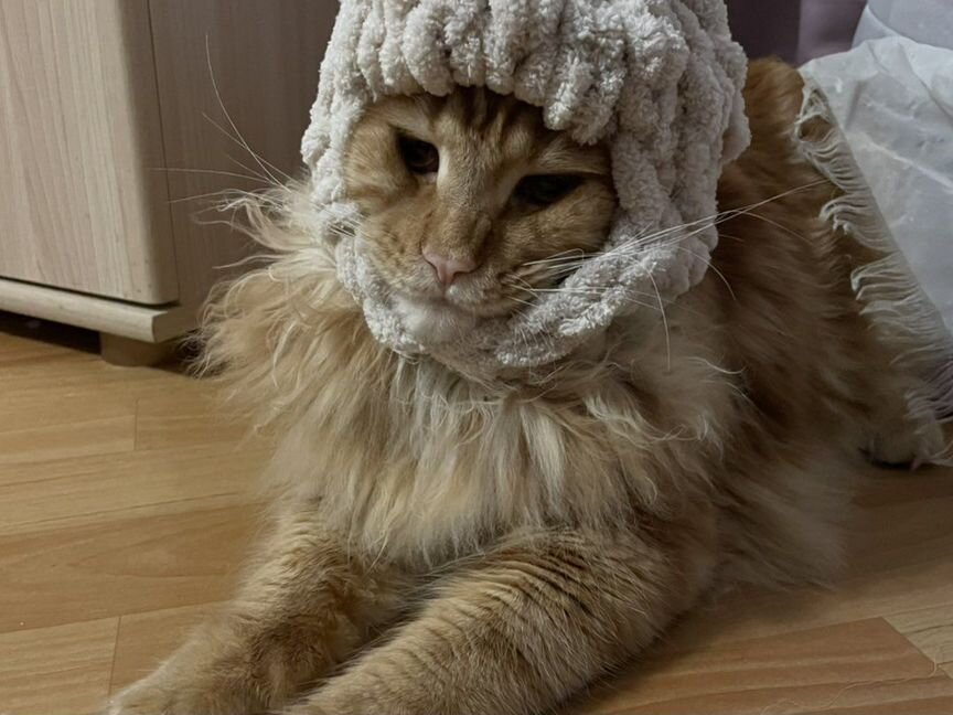 Балаклава для питомца