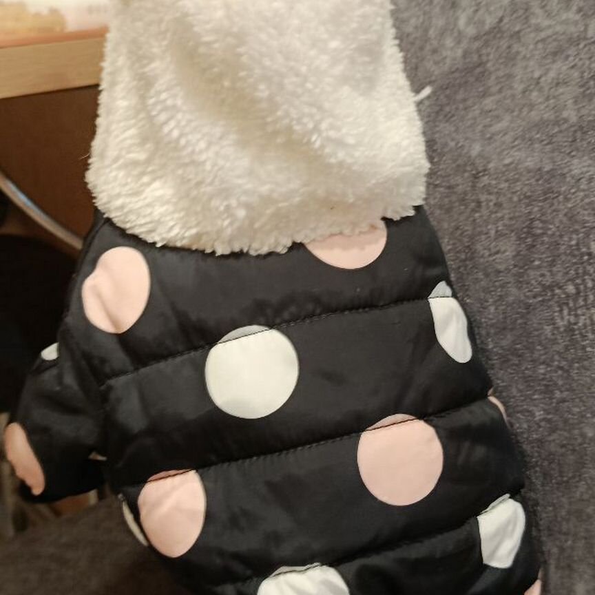 Одежда для маленьких собак