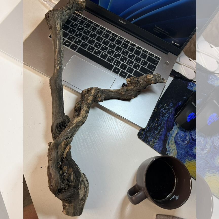 Коряга в аквариум новая