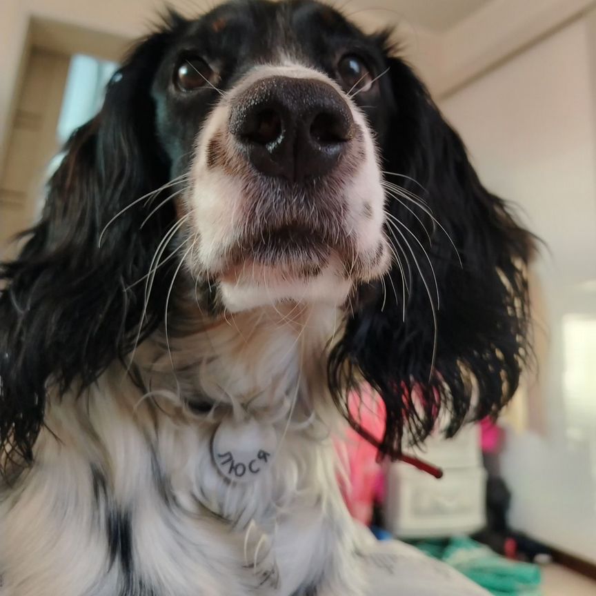 Девочка ищет друга