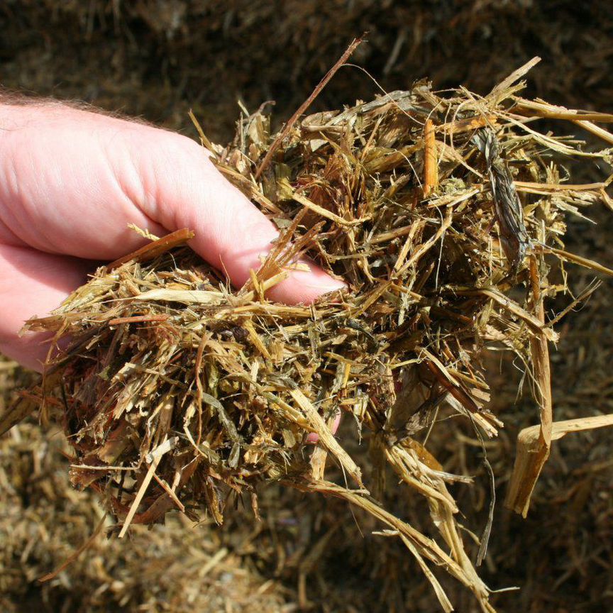 Силос вика - овса