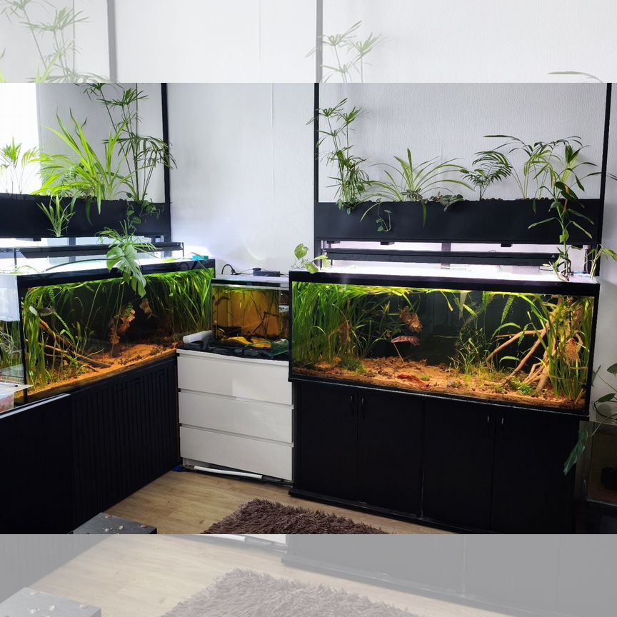 Аквариумы 450л 1500х500х600