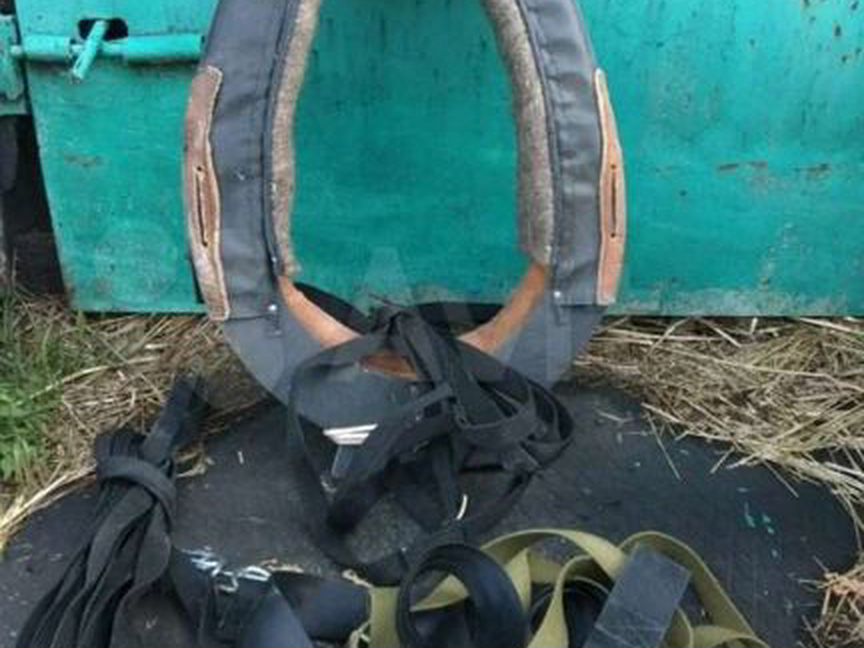 Сбруя для лошади