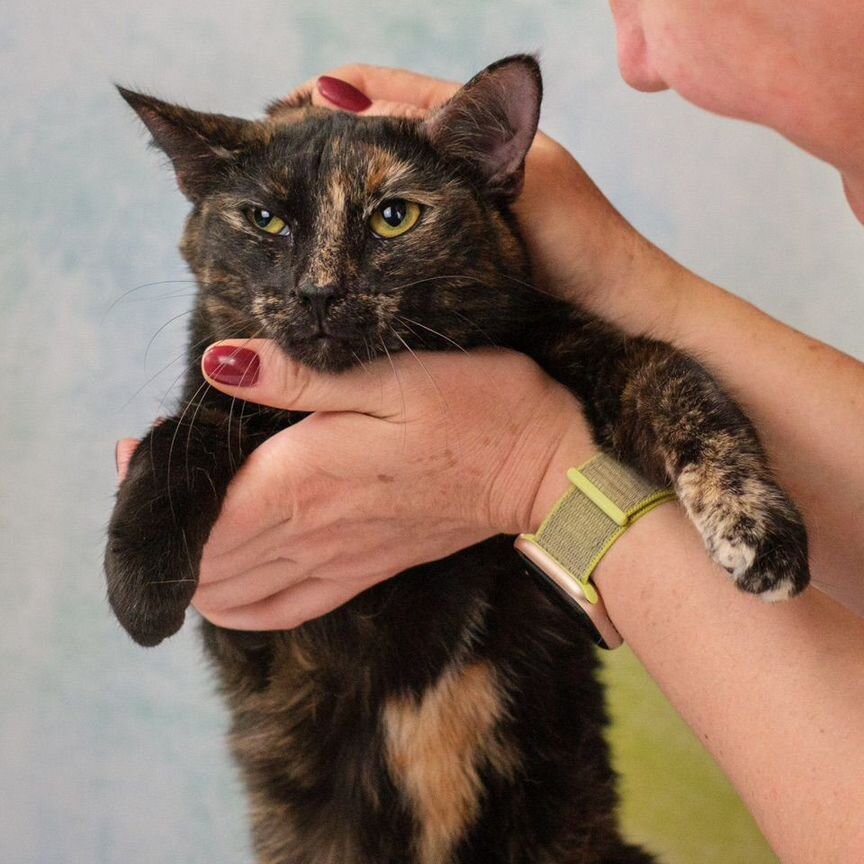 Все детство в клетке