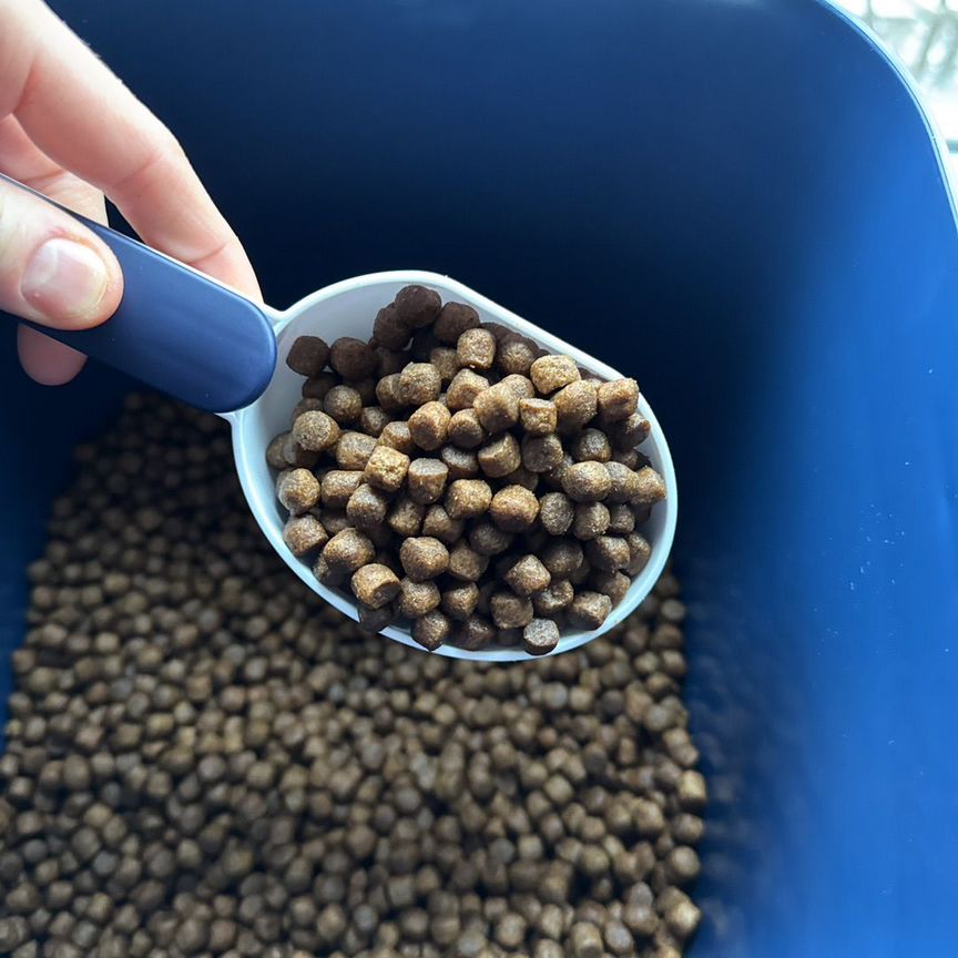 Корм Грандорф для щенков