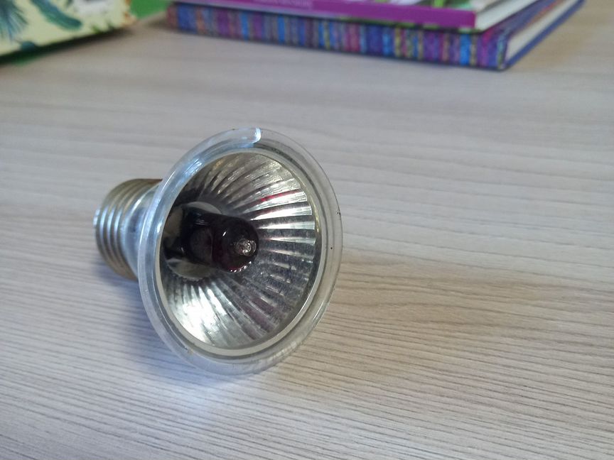 Лампочка для черепахи