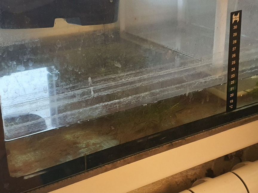 Аквариум 95 на 36 высота 37