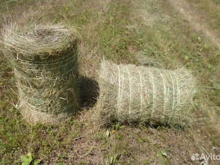 Продам сено в рулонах