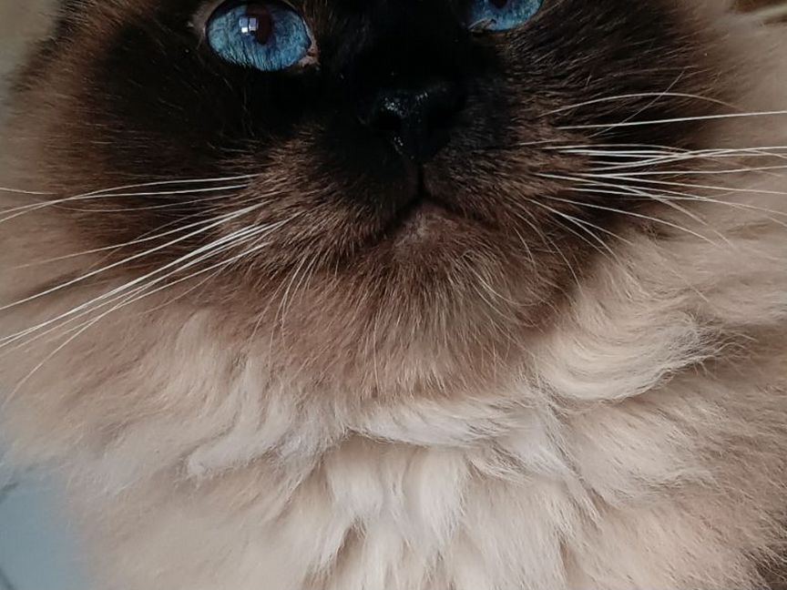 Изюмительная Изюминка