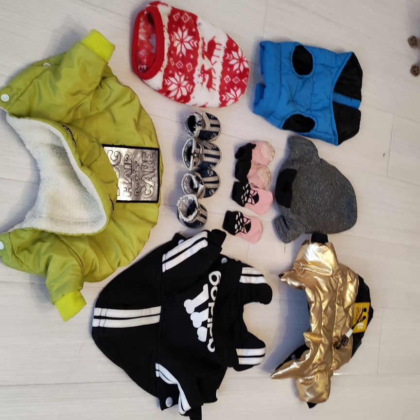 Вещи пакетом XS для мелких пород собак