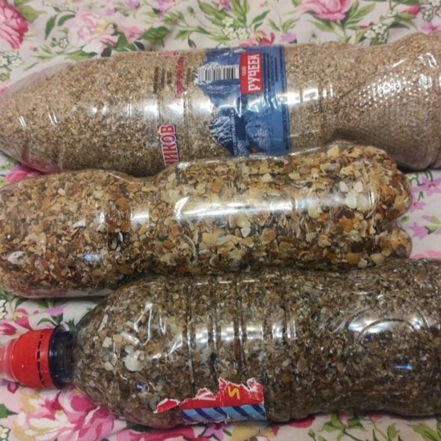 Морской песок и ракушки