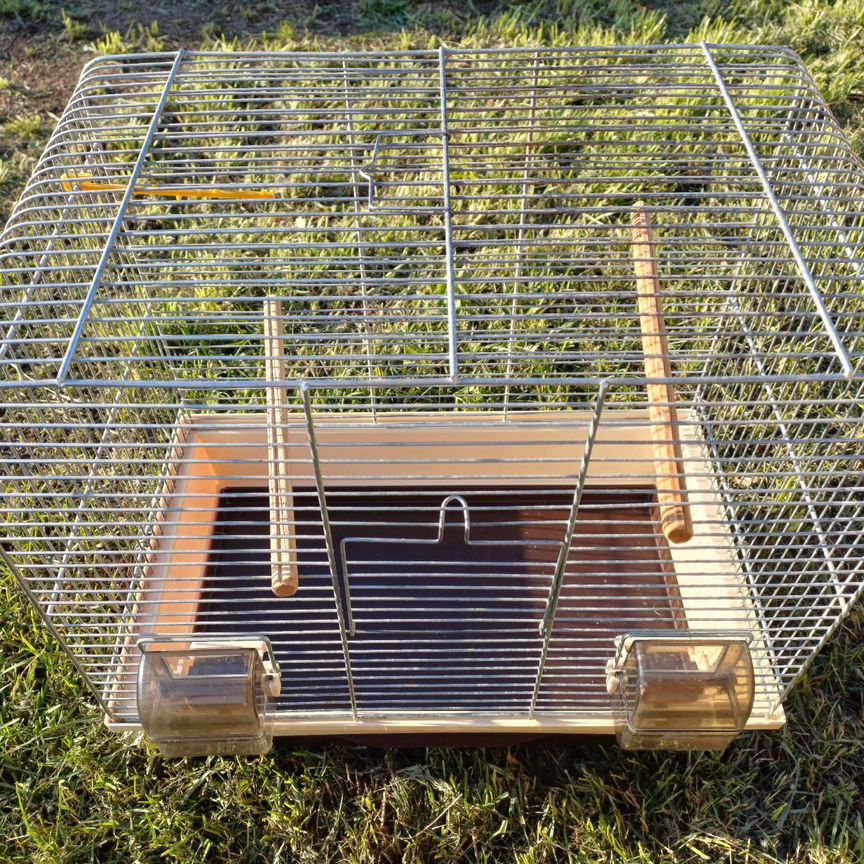 Клетка для попугая, птицы