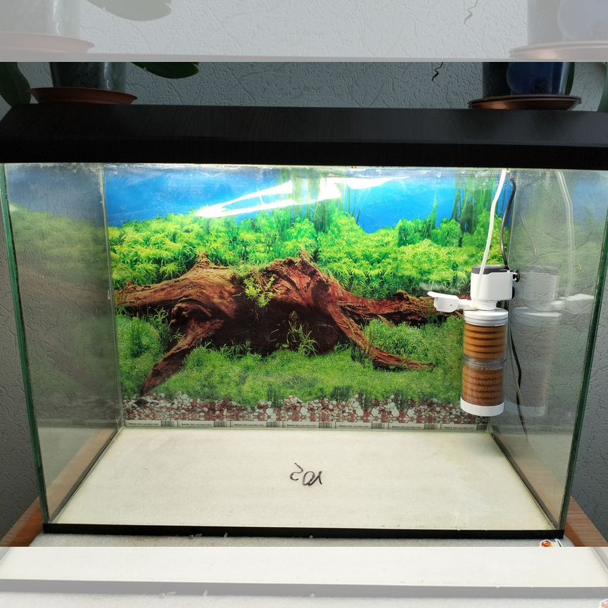 Аквариум