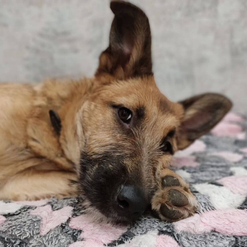 Ласковая и нежная Машенька 6 месяцев