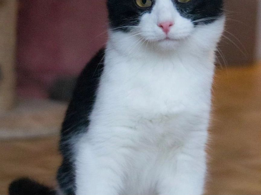 Пётр, ищет себе настоящую семью