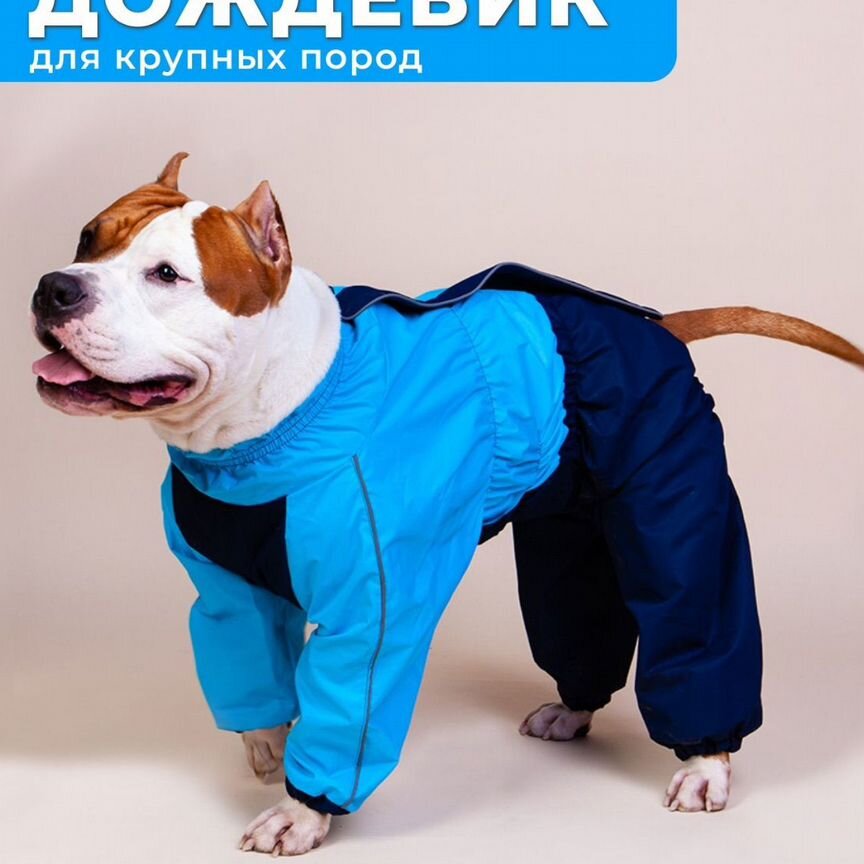 Дождевик для крупной собаки