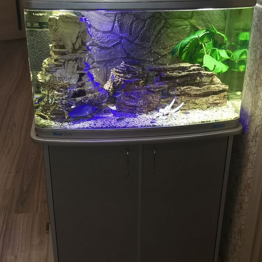 Аквариум Джебо R 375 150л
