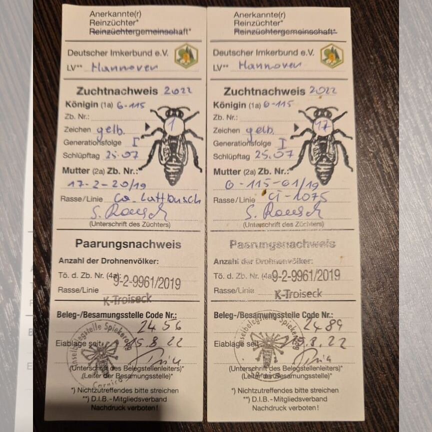 Матки Карника Ф1 Тройзек 1075 плодные