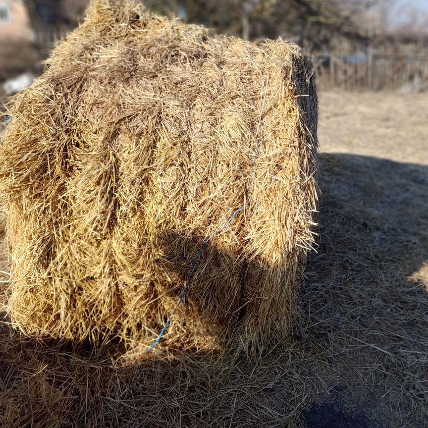 Продаётся солома в тюках