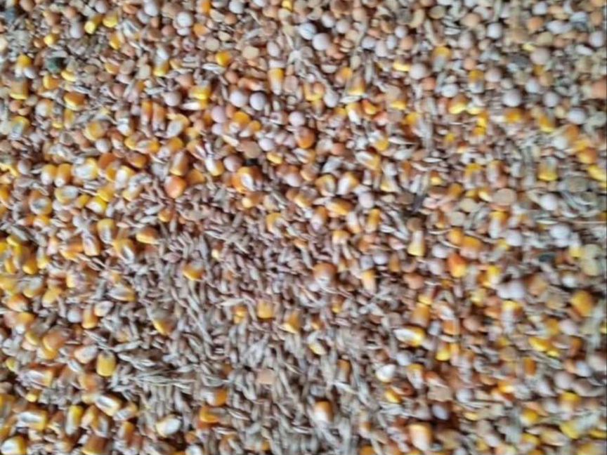 Корма для животных оптом и в розницу