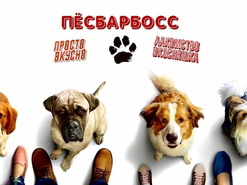 Легкое говяжье лакомства для собак