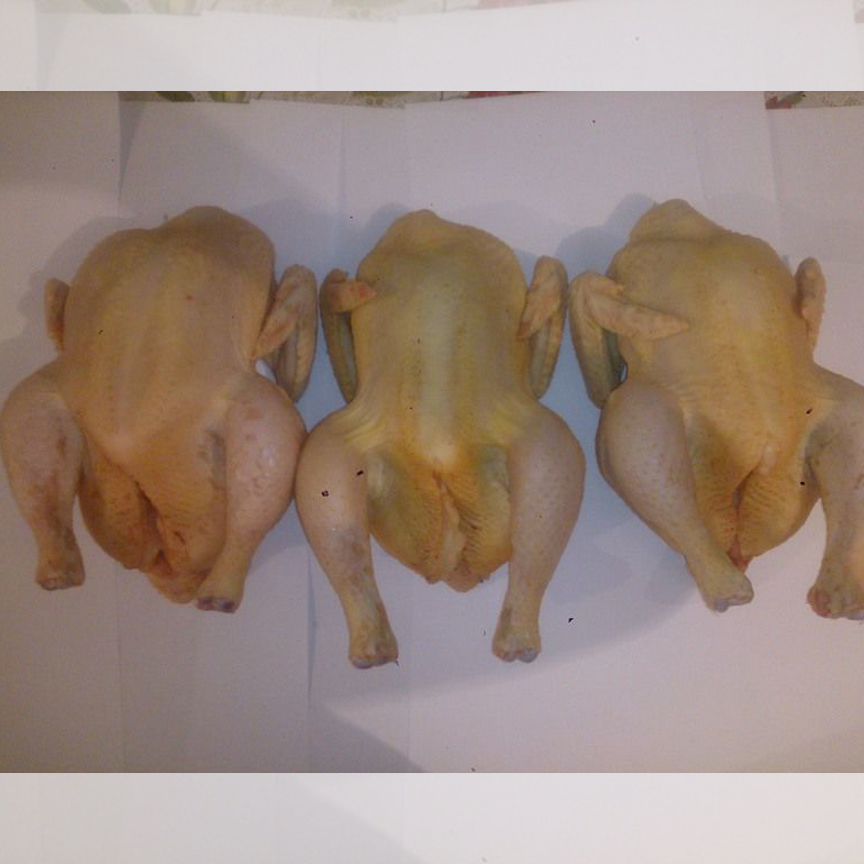 Куры бройлерные, мясо утки