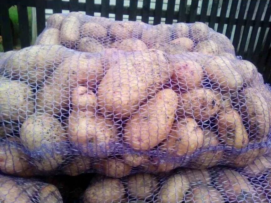 Продам картофель с доставкой