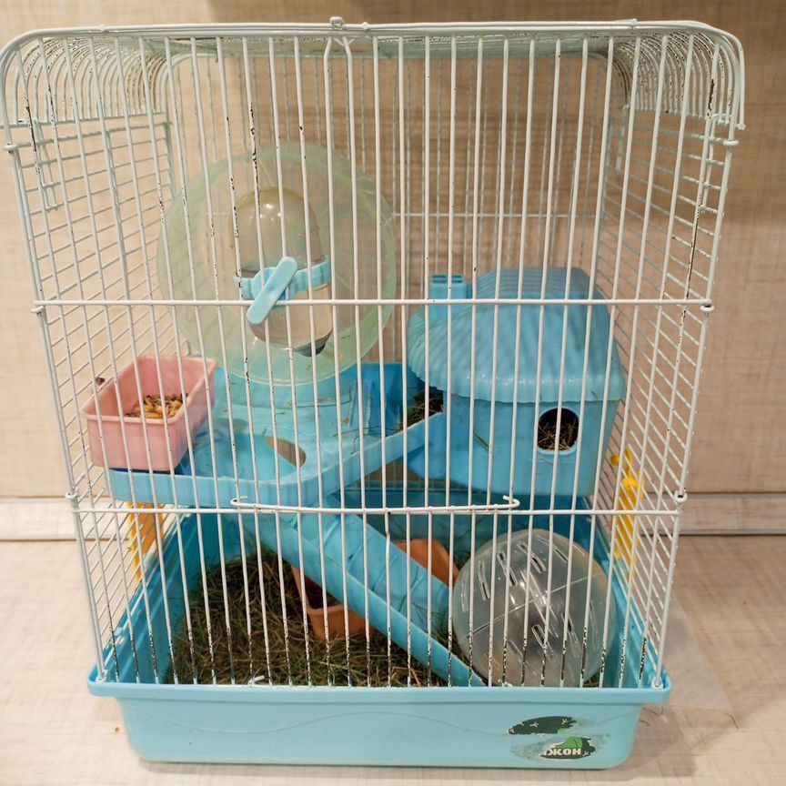 Клетка