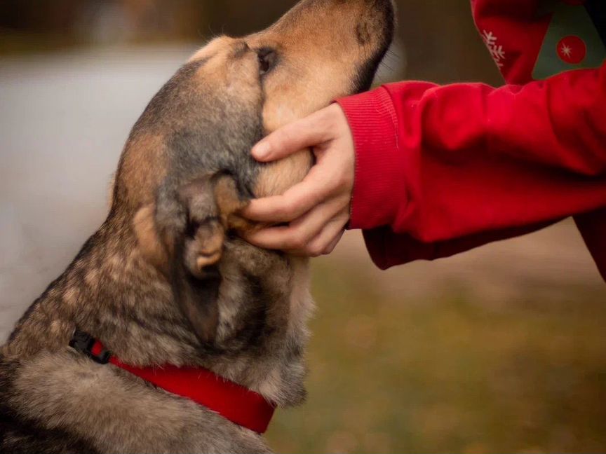 Нежнятина Муся длет семью