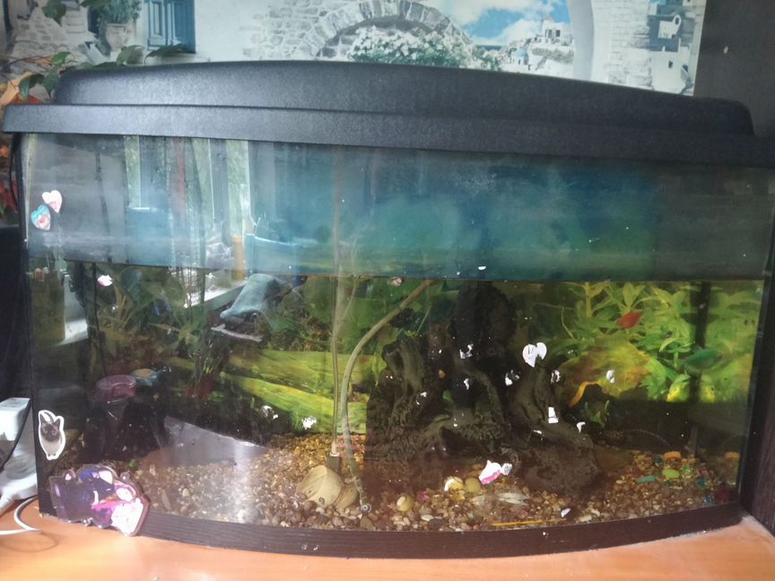 Отдам бесплатно аквариум б/у